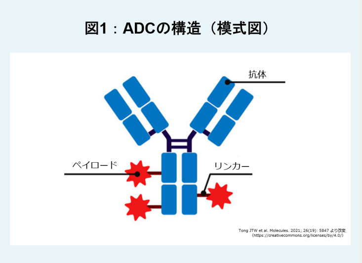 【トレンド】オンコロジー最前線#1：進化する抗体薬物複合体（ADC）