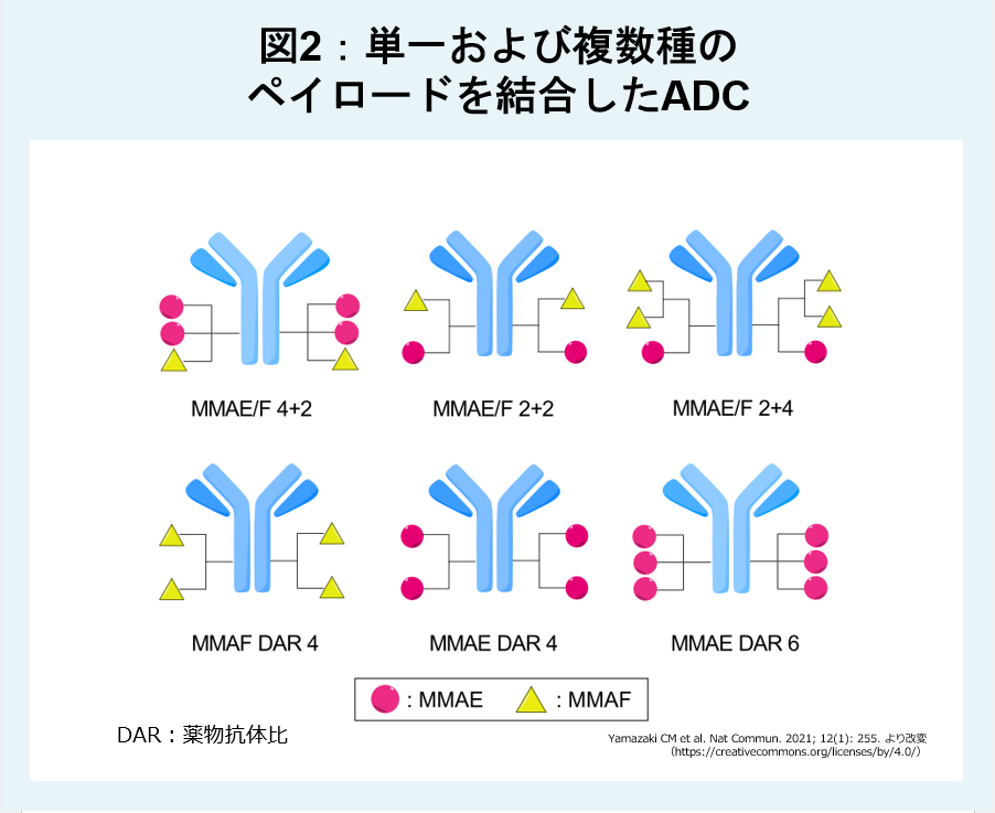 【トレンド】オンコロジー最前線#2：乳がん治療のアンメットニーズの克服に挑む抗体薬物複合体（ADC）